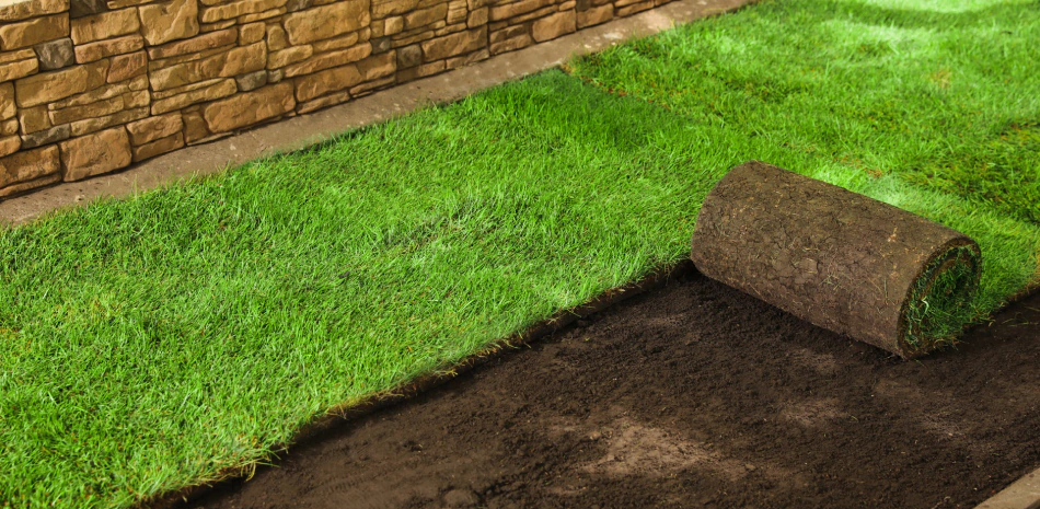 Sod Installation Fayetteville, NC | We Offer Free Estimates